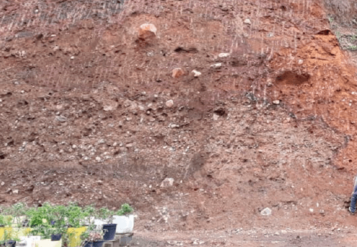 Blog | The Volcanic Advantage: Why This Soil Type Is Every Farmer's Dream