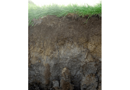 Blog | The Volcanic Advantage: Why This Soil Type Is Every Farmer's Dream