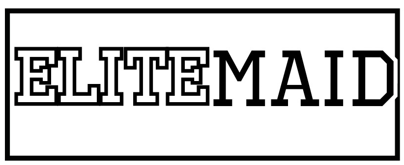 Home [elitemaidflorida.com]